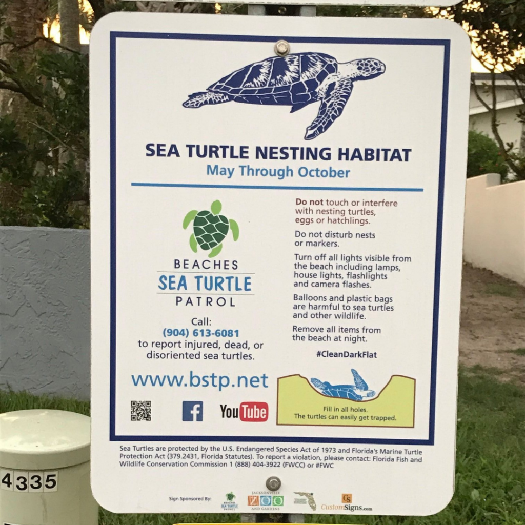 SEA TURTLES – Beaches Sea Turtle Patrol